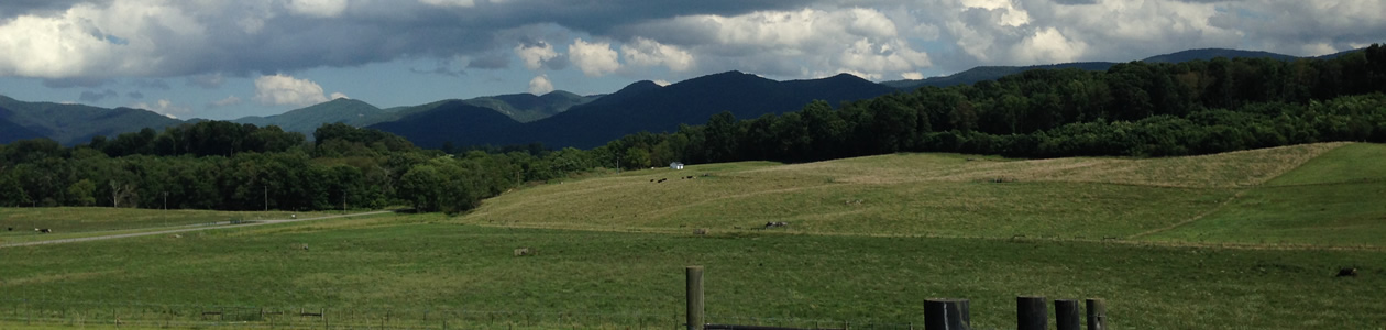 Tennessee Beginning Farmer Outreach Program | Tennessee Beginning ...